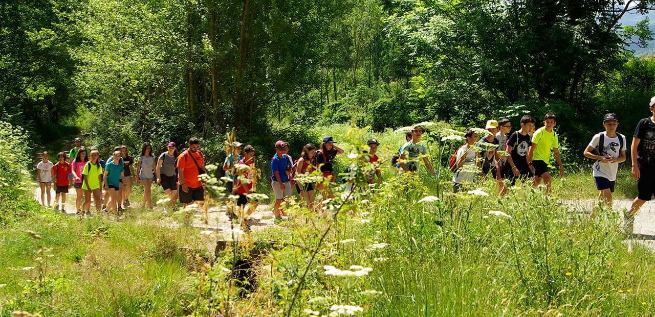 10 razones para ir al campo | Artículo Blog | Colectivo Tándem